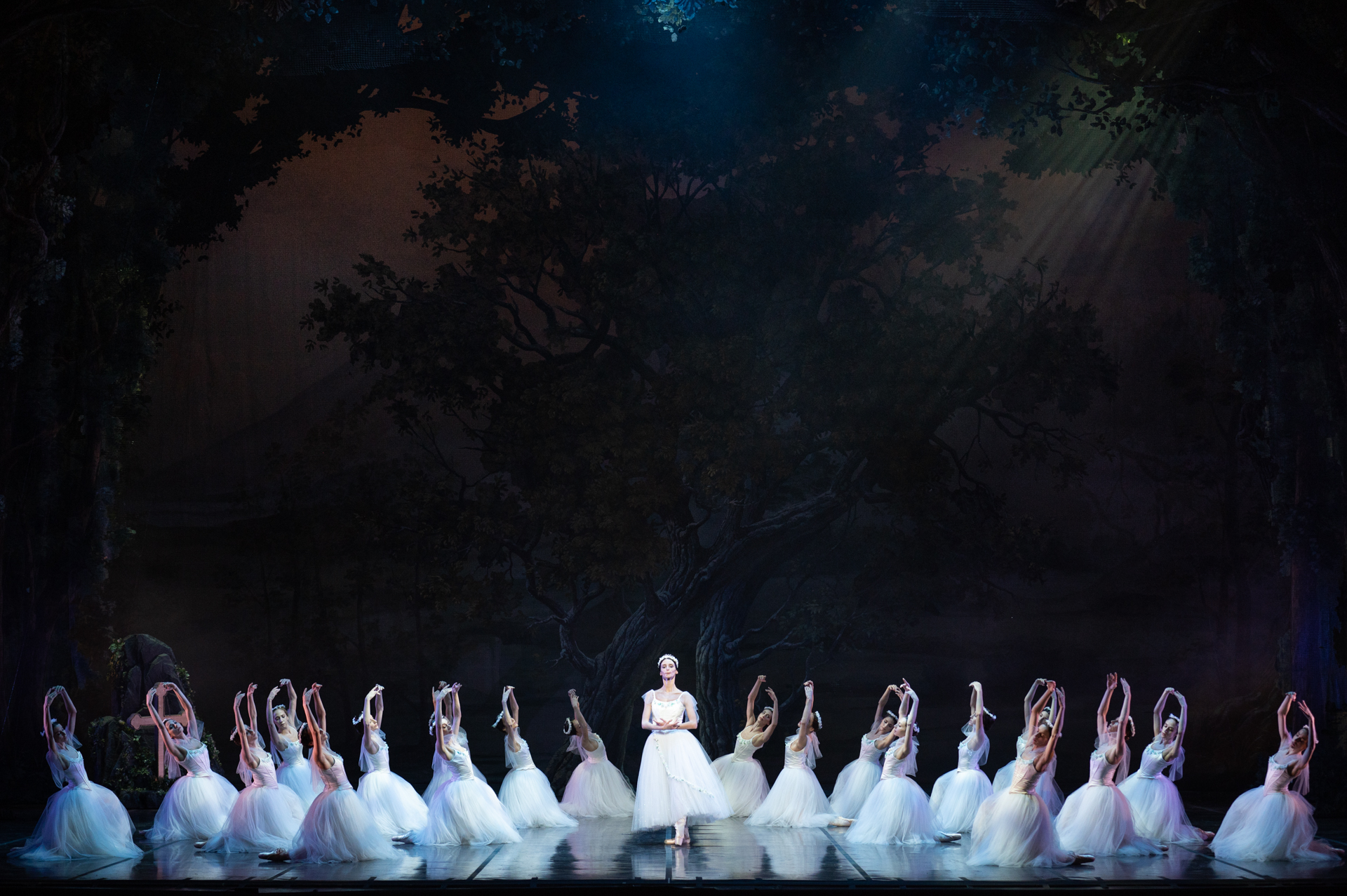 Renowned Classical Ballet "GISELLE" By Teatro Dell’opera Di Roma to ...